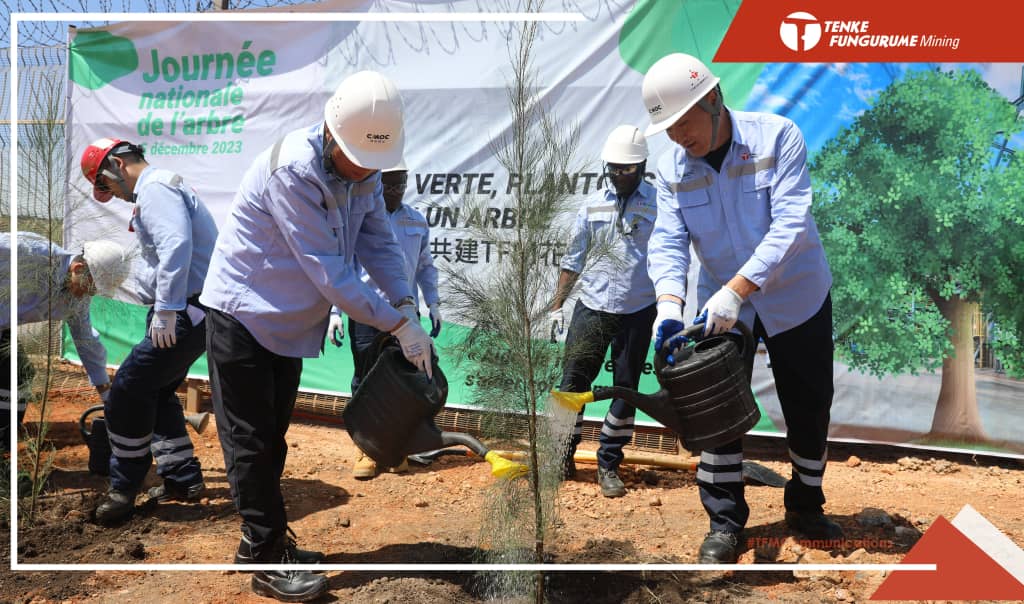RDC/Journée nationale de l'arbre : Tenke Fungurume Mining plante ...